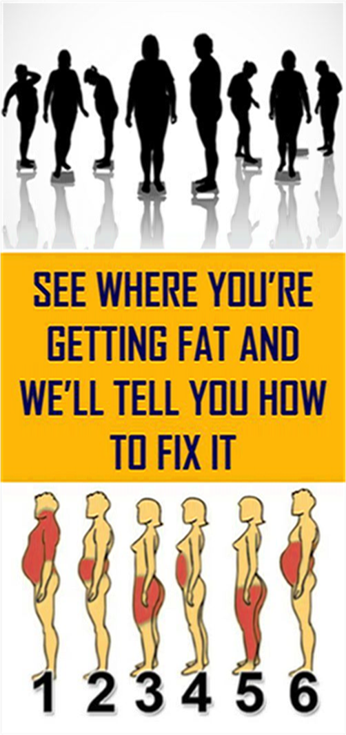 scientific facts: SEE WHERE YOU’RE GETTING FAT AND WE’LL TELL YOU HOW ...