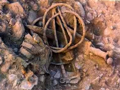 AMO DEL CASTILLO: La panoplia del guerrero hispánico. El escudo