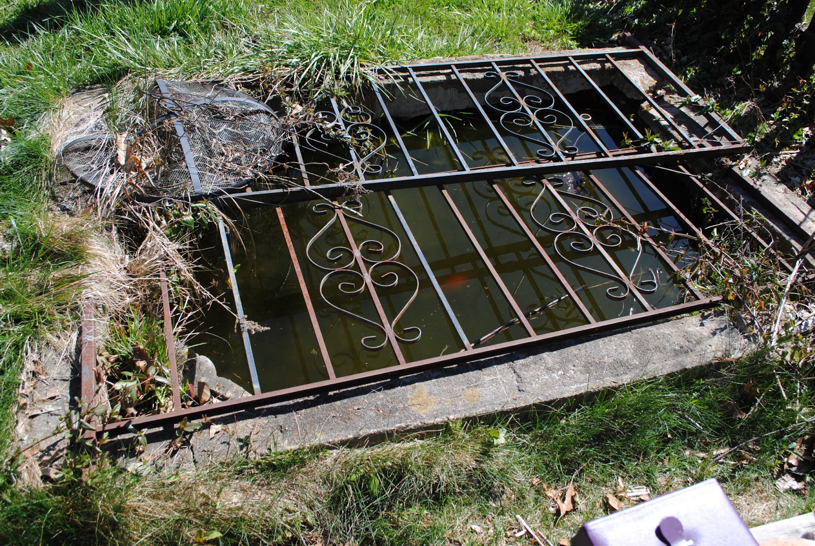 The Carpetbagger: Fishzilla