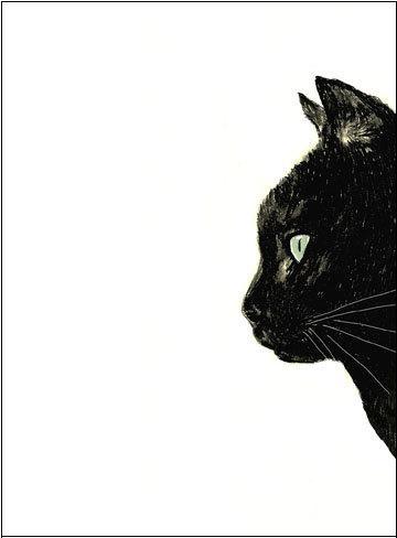 Black Cat Avatar