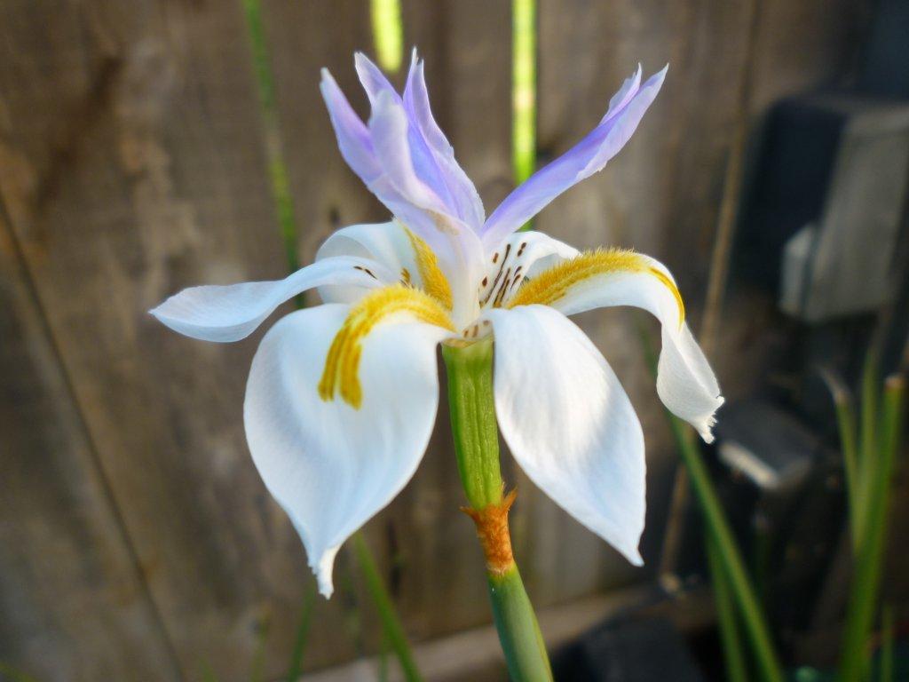 Ralph Hiatt's Argentina: God’s Creative Art: Beautiful People and a ...