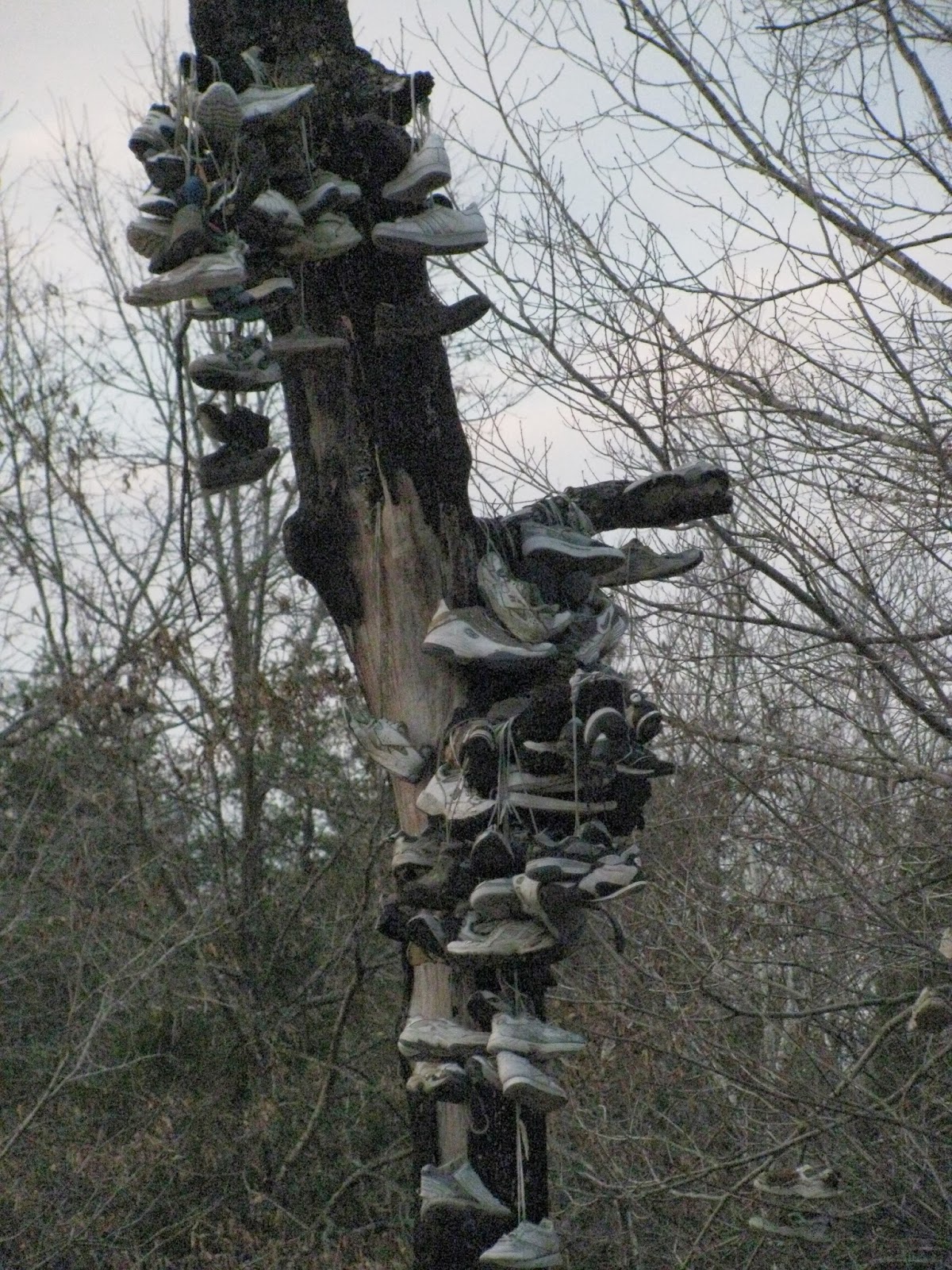 Eerie Indiana: The Famous Shoe Tree, Milltown, Indiana