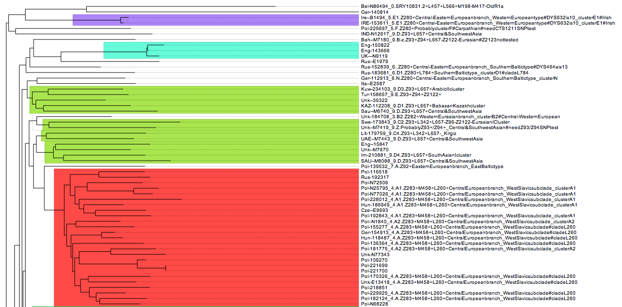 KurdishDNA: R1a1a STR111 tree