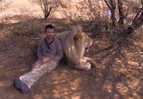 TISOTIT: GoPro: Lions - The New Endangered Species?