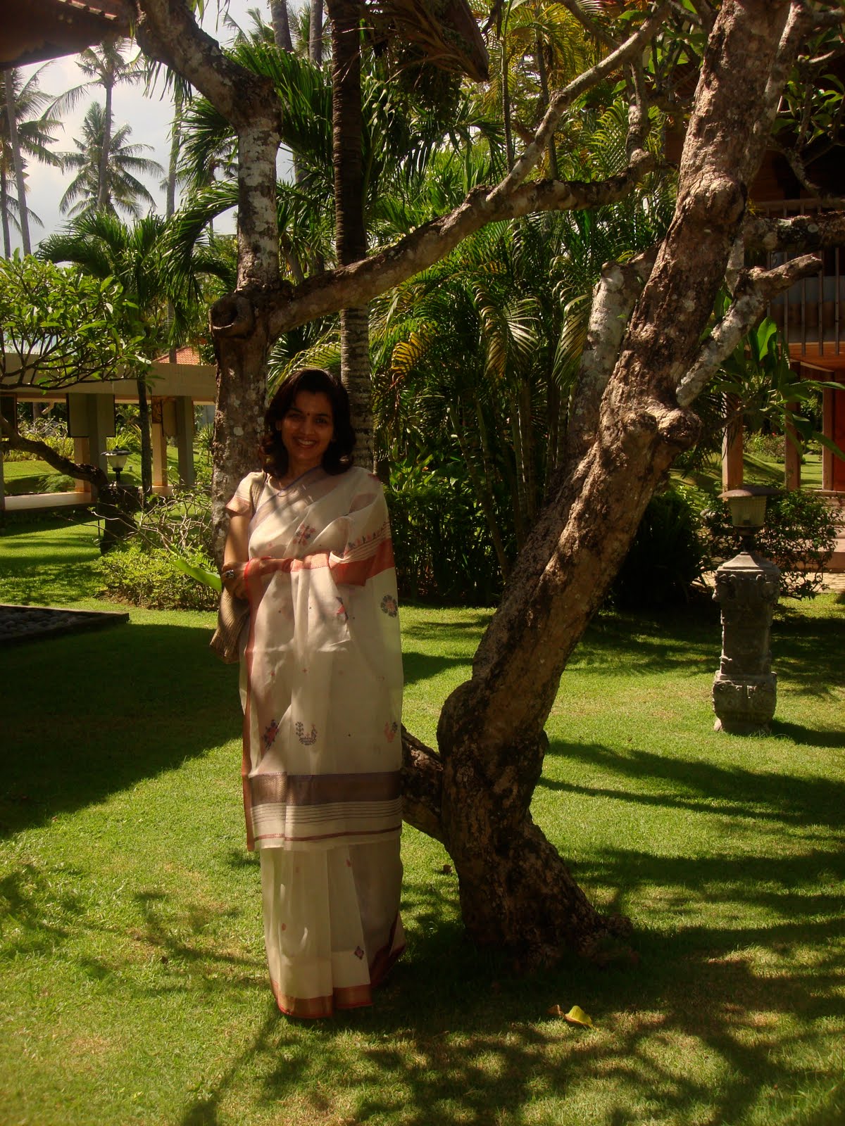 Sohum Sutras: Different Indian saris