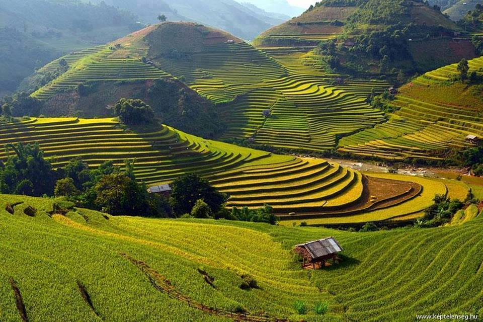 Vietnam Astonishing Landscapes - webviews