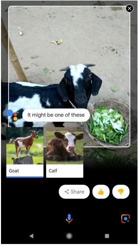 How To Activate & Use the Google Lens on Your Android Phone Assistant app