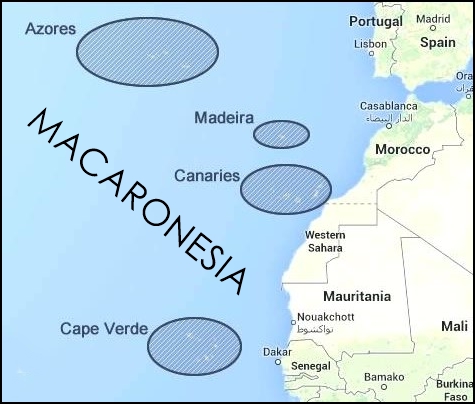 Bill's Excellent Adventures: Macaronesia