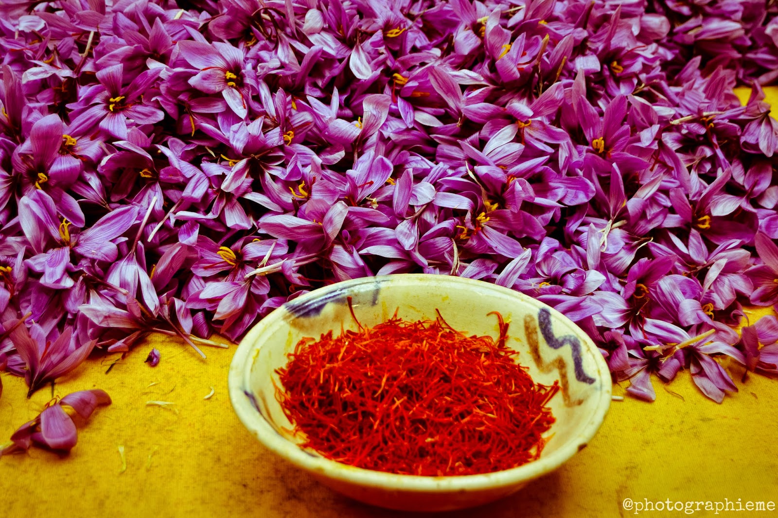 PhotographiEme: La flor del Azafrán
