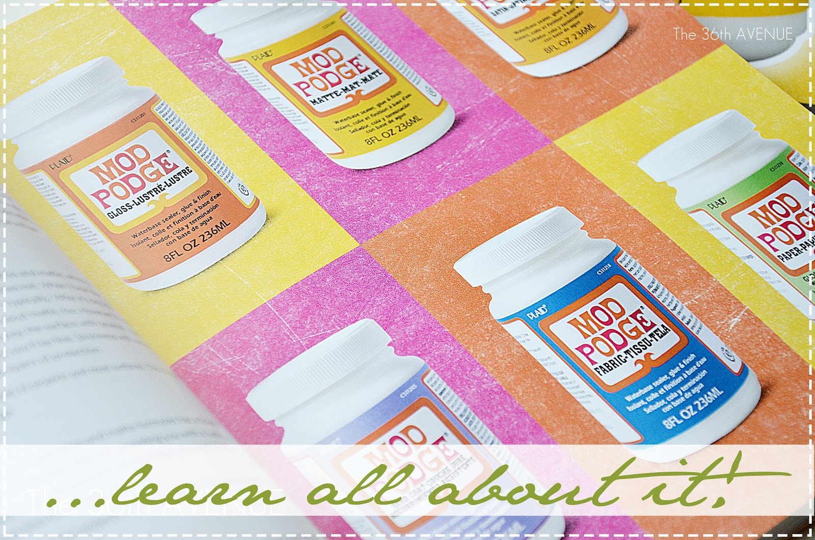 Book Review: Mod Podge Rocks by Amy Anderson | The 36th AVENUE