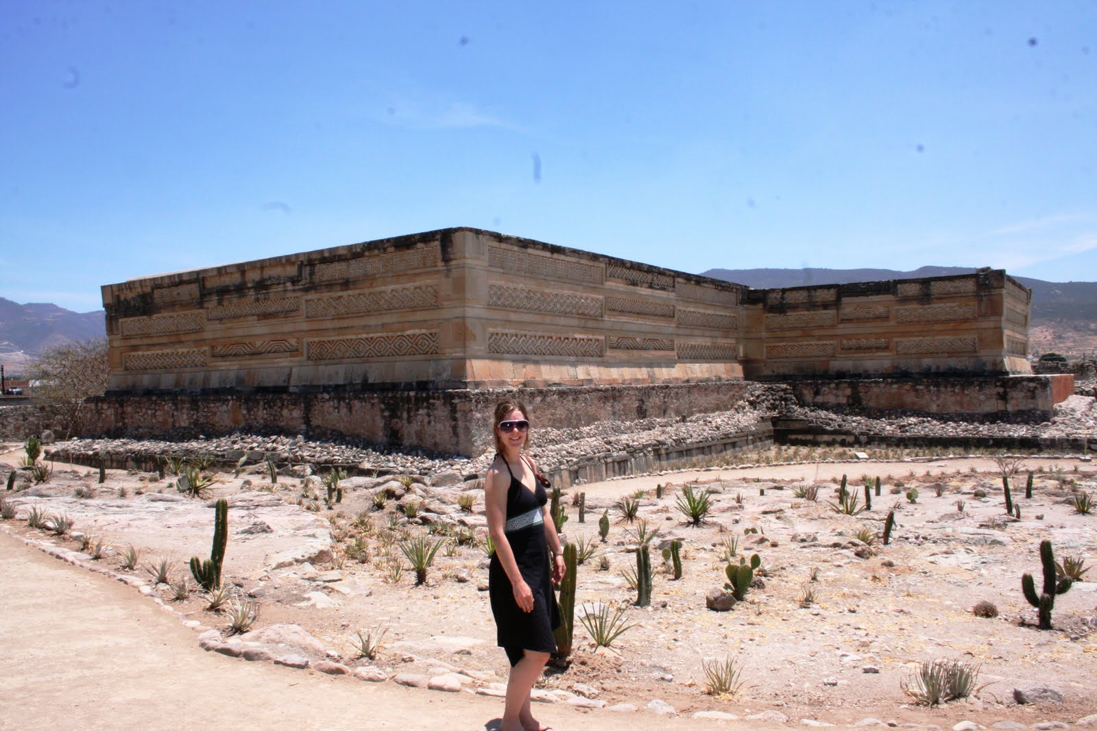 Mexico to Patagonia: South Bound Again: Biggest Tree in the World ...