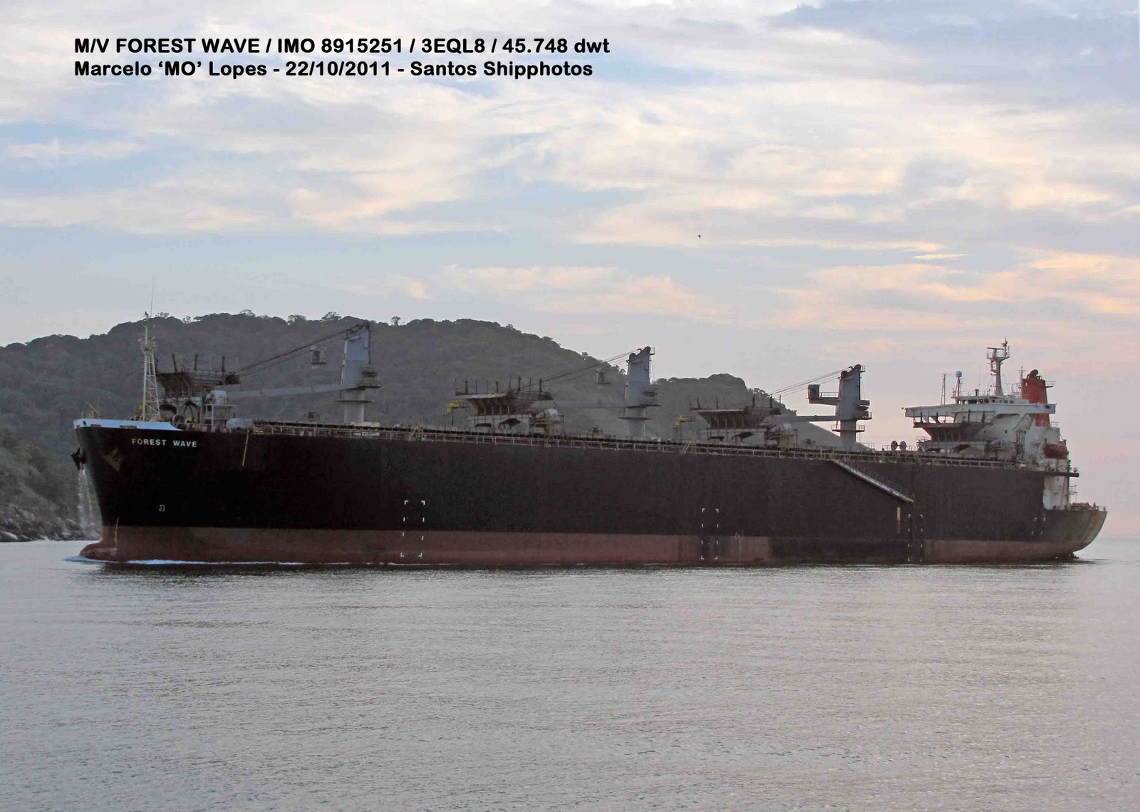 Santos Shiplovers: M/V Forest Wave / 3EQL8 - Um Wood Chip Carrier