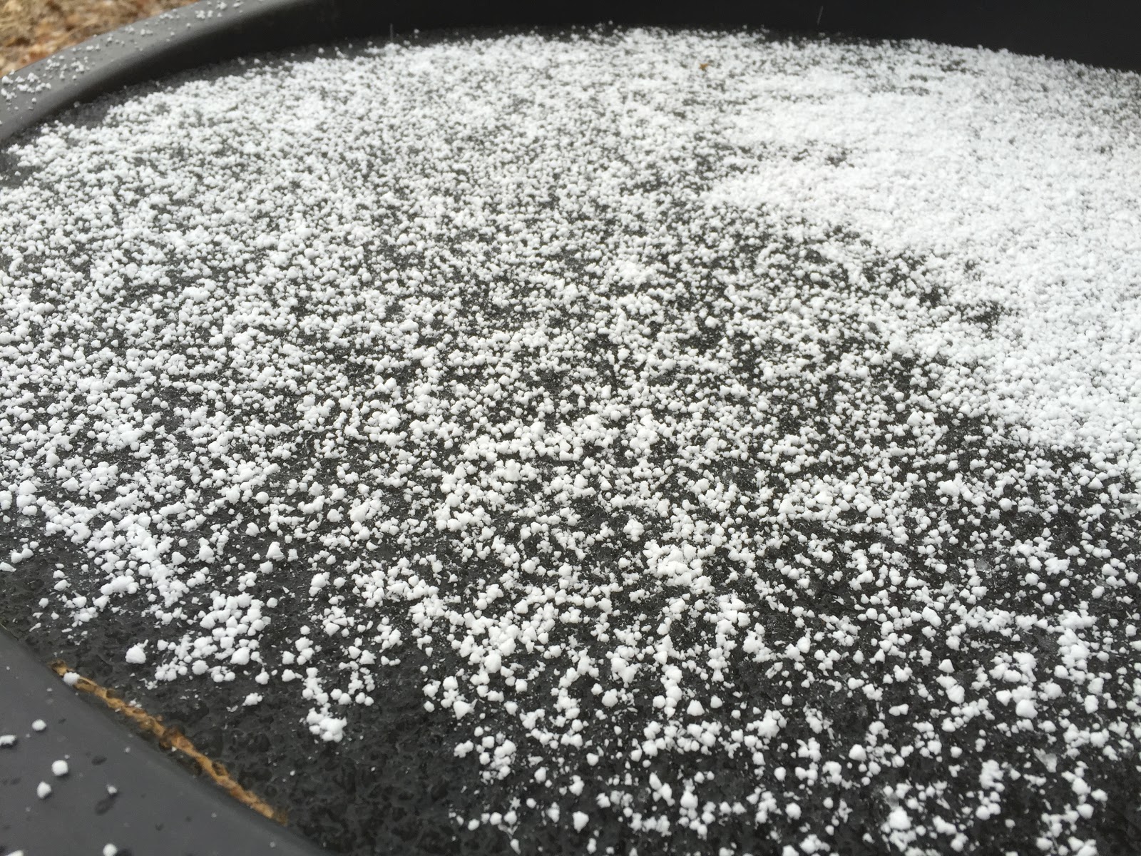 Princeton Nature Notes: Graupel--A Special Form of Snow