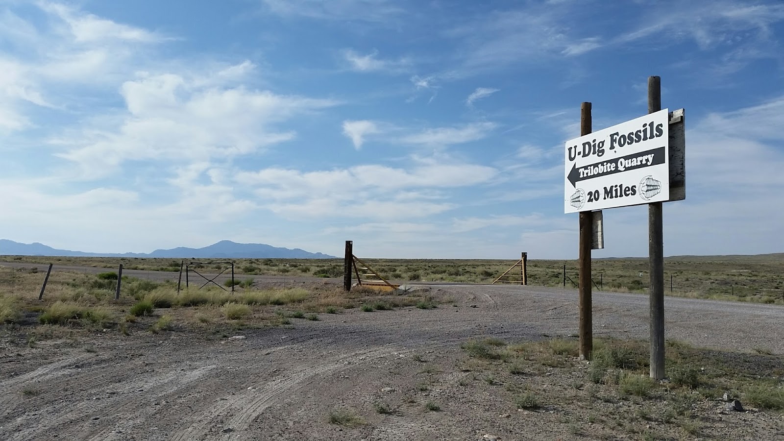 Zookeeper Fossils: June 2015