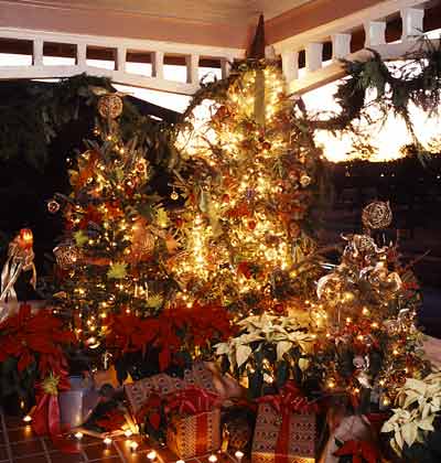 All in the Detail: making it through the holidays - decorating the tree