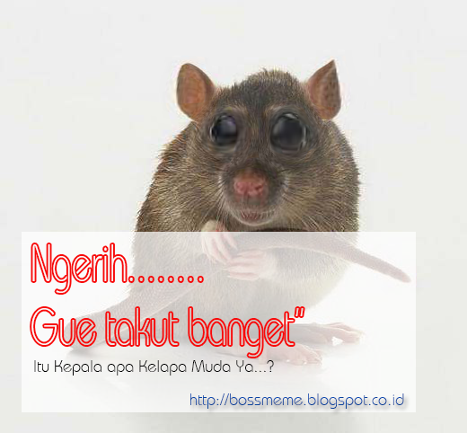 Kumpulan Meme Kreatif, Unik dan Menarik