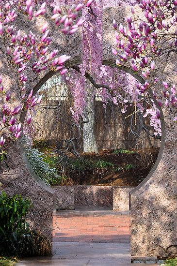 Luna Light Love: Moon Gates