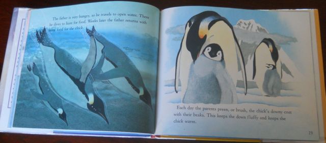 Blue Sky, Big Dreams: A Passion for Penguins