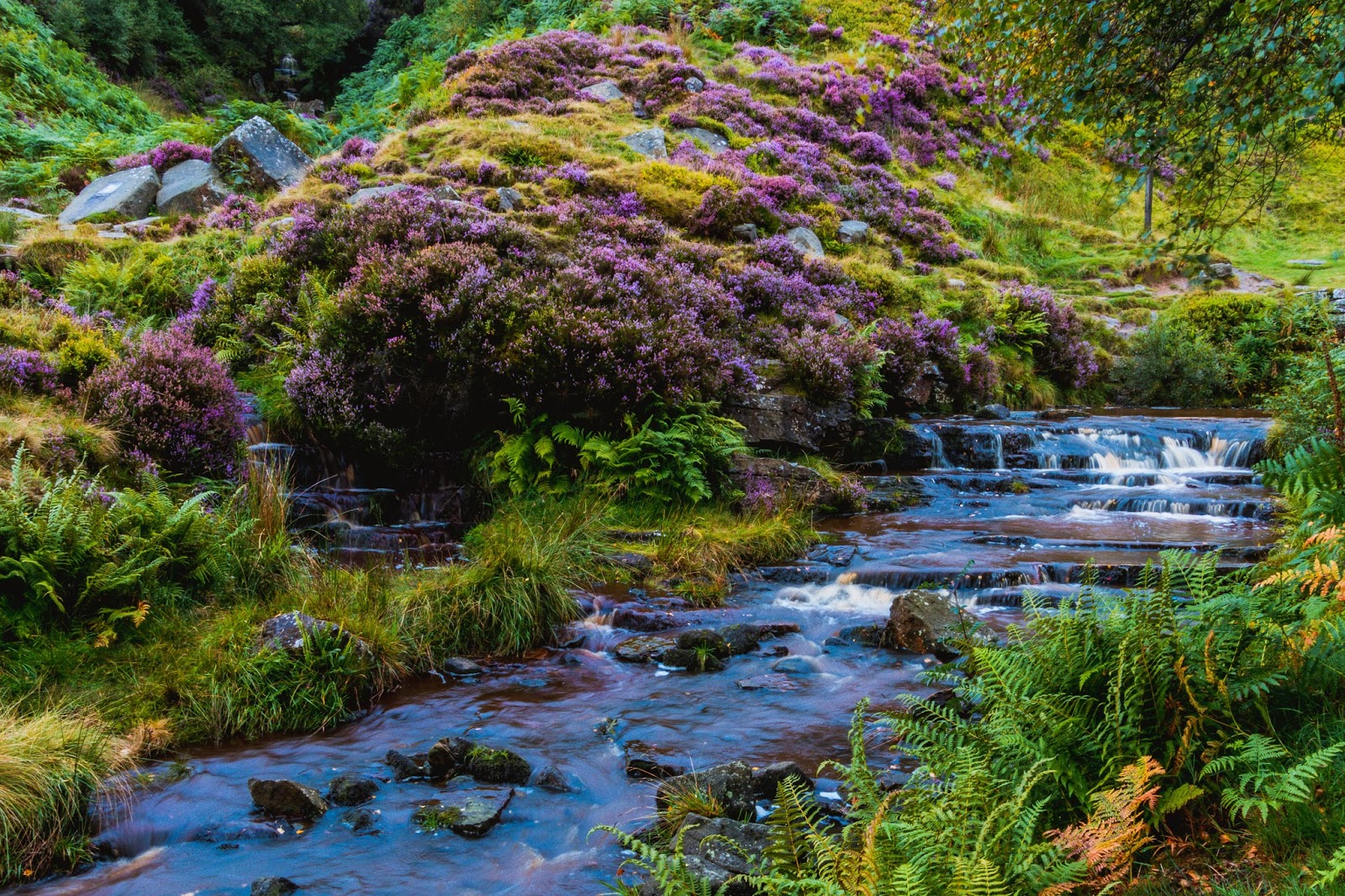 Yorkshire Waterfalls: Bronte Falls