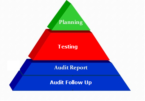 SYSTEMS +: Management’s Role in Audit Assessment
