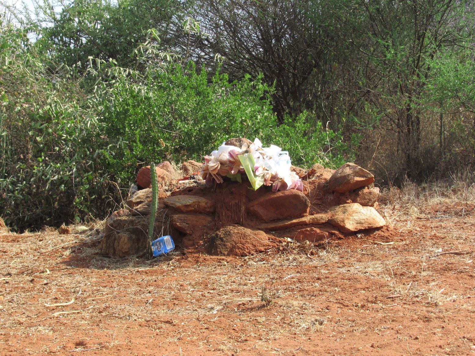 ngirilover: The Baobab Forest in Himo Tanzania
