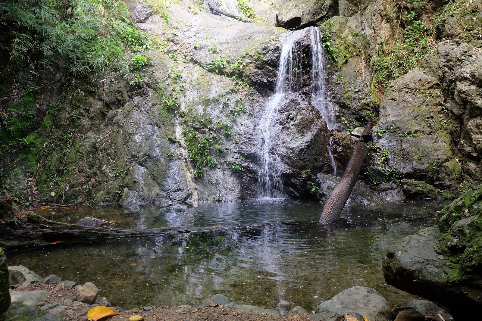 Mt. Cayabu and Mt. Maynoba Traverse to 8 Wonder Falls - From The ...