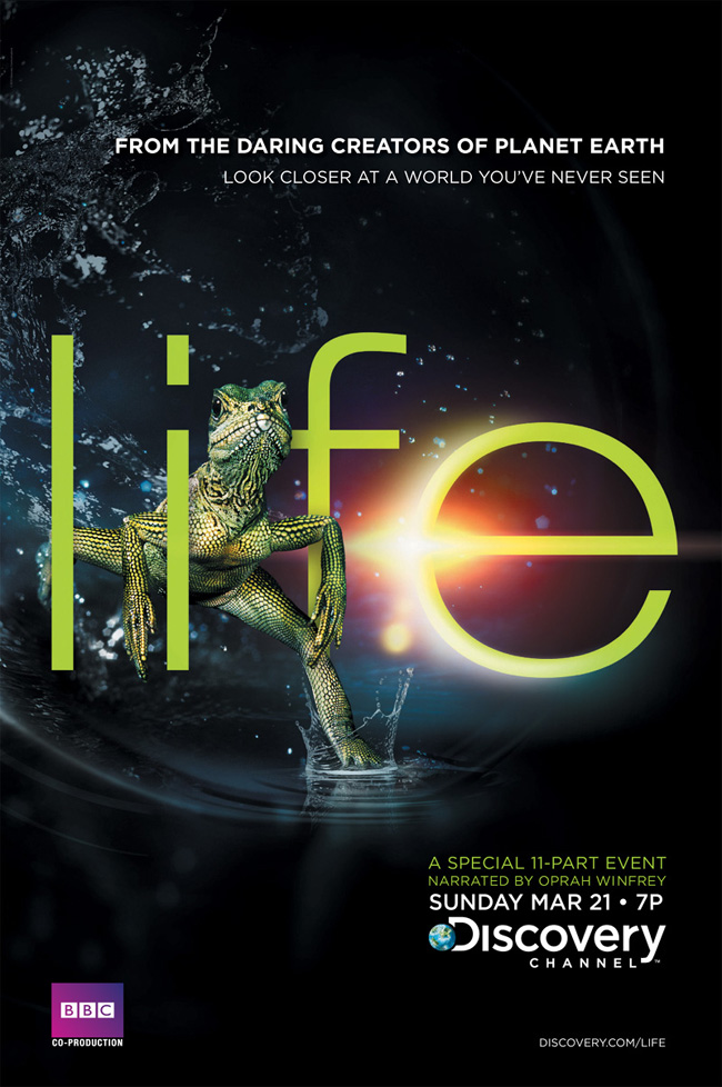 BBC Life (2009) Bluray 480p x264 MKV Mediafire ~ MediaFireMoviesHeaven