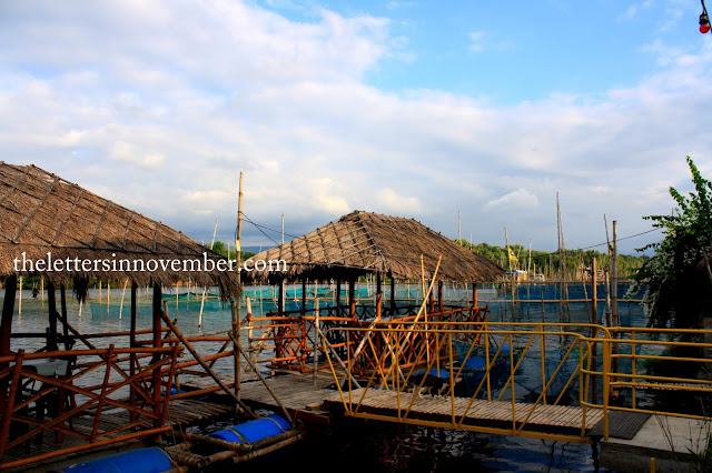 Bacnotan My Hometown: The Fun at River Farm Restaurant and Baroro ...