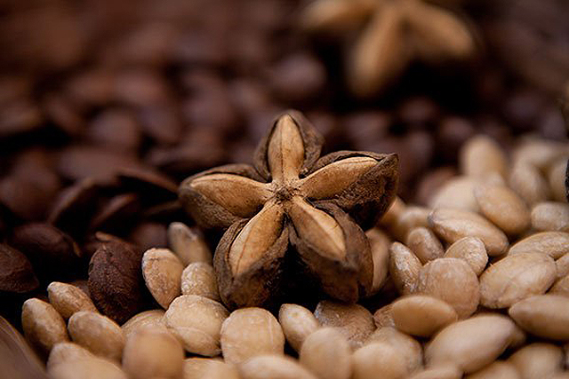 Beneficios del sacha inchi - DIFUNDE LA EVOLUCION