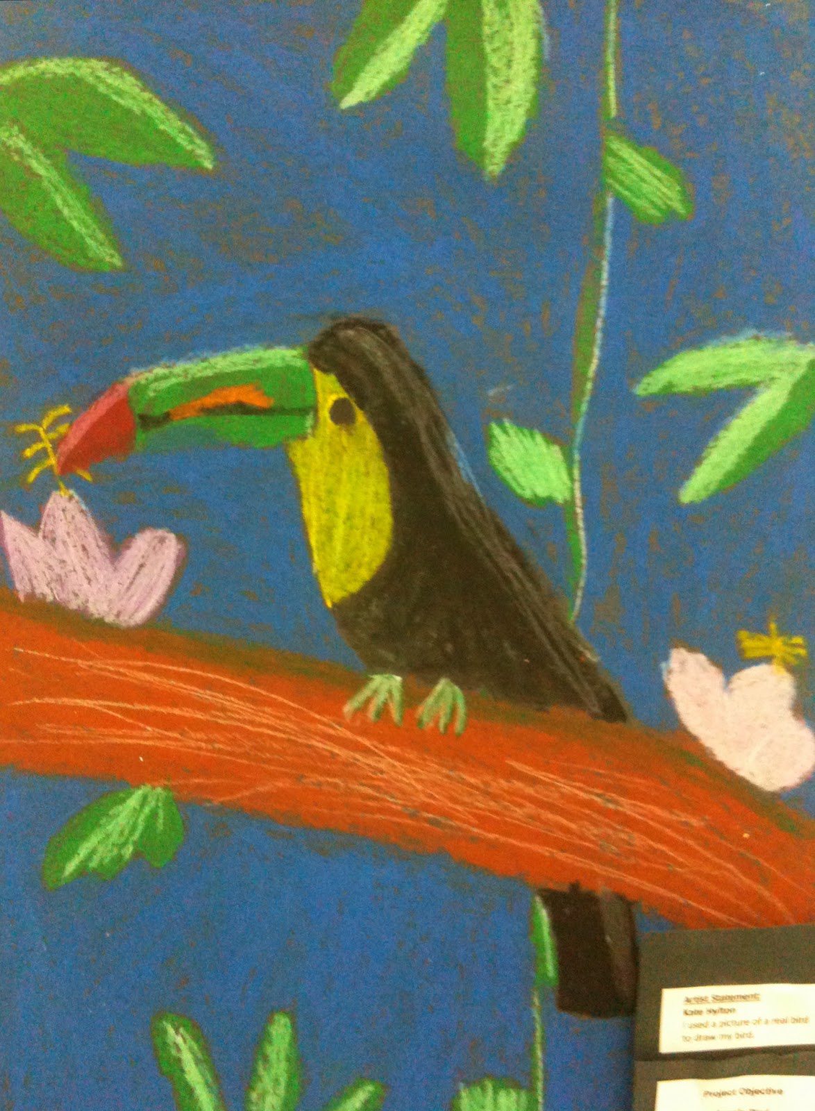 Art Room Blog: 4th Grade Jungle Bird...
