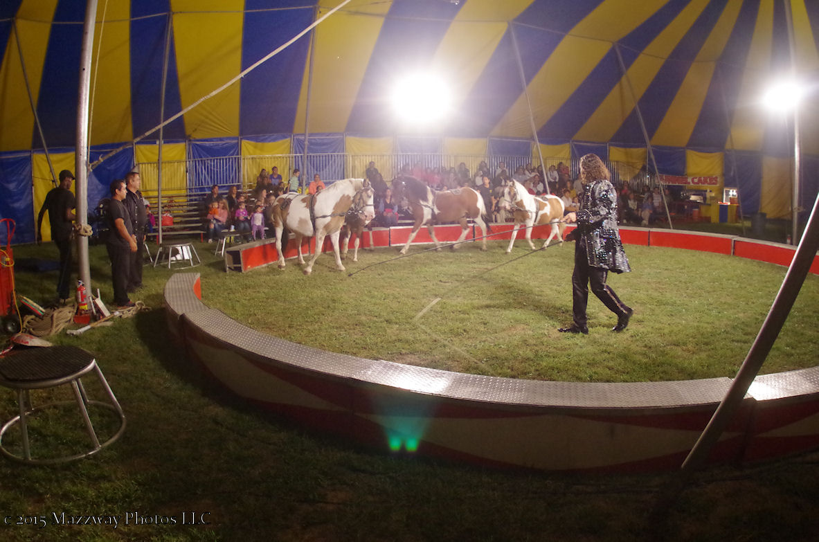 Bogota Blog NJ: Circus
