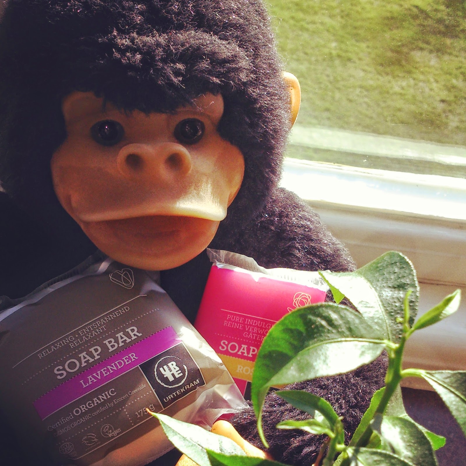 The Privy Counsel (A Bog Blog): More Monkey-Friendly Soaps!