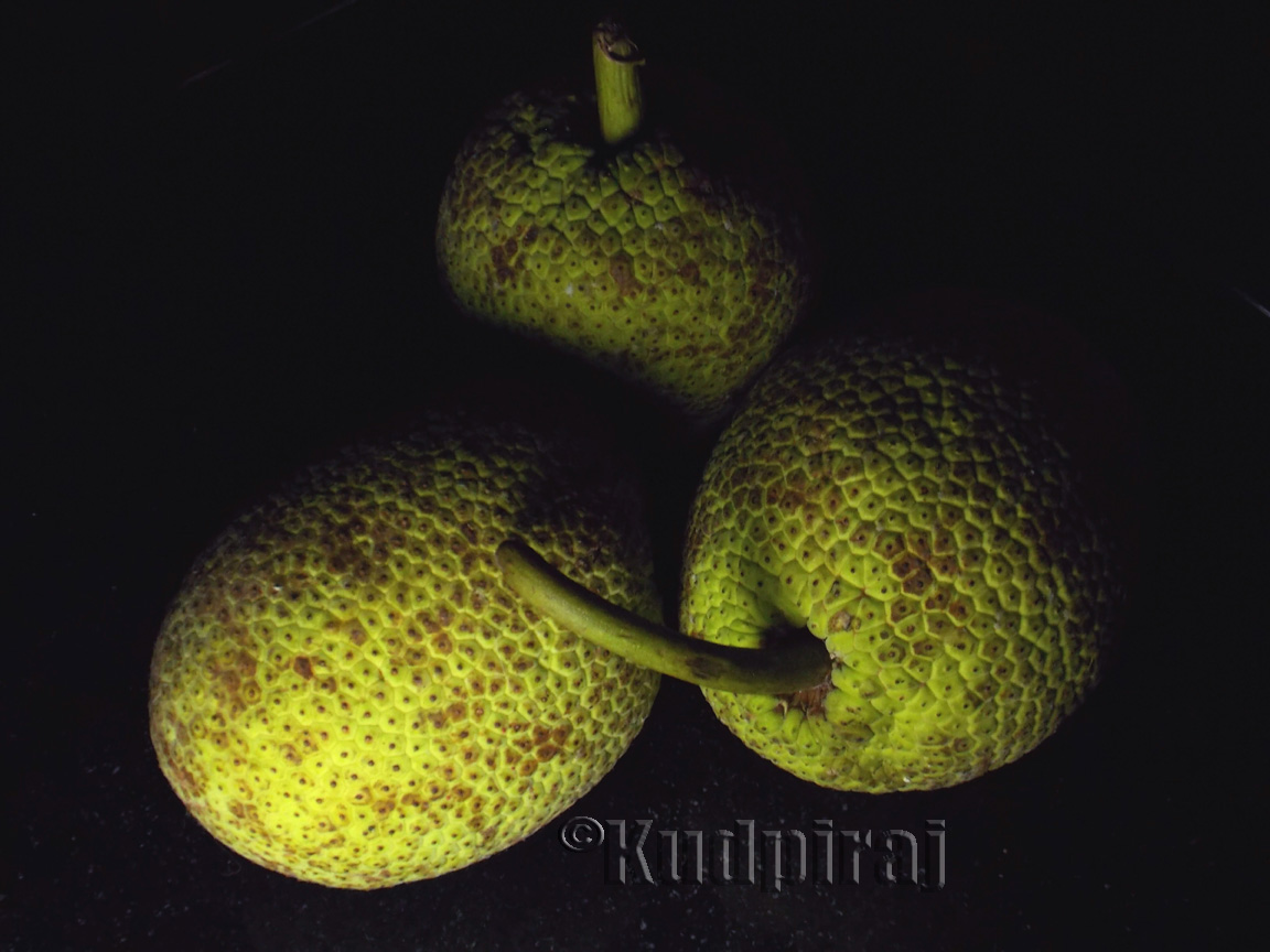 Kudpiraj's Garam Tawa: Bread Fruit Manchurian