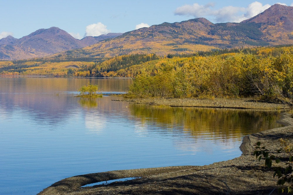 Yukon Bird Observatories: Teslin Lake update - September 10th