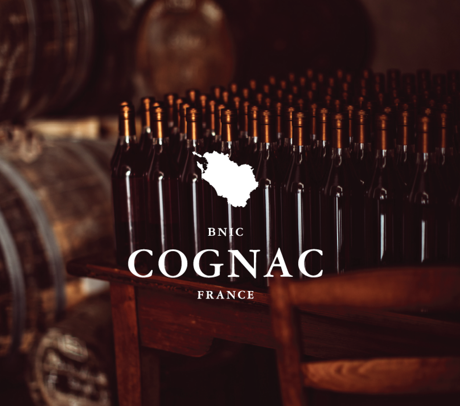 spiritueux magazine: BNIC, une belle identité visuelle pour le cognac.