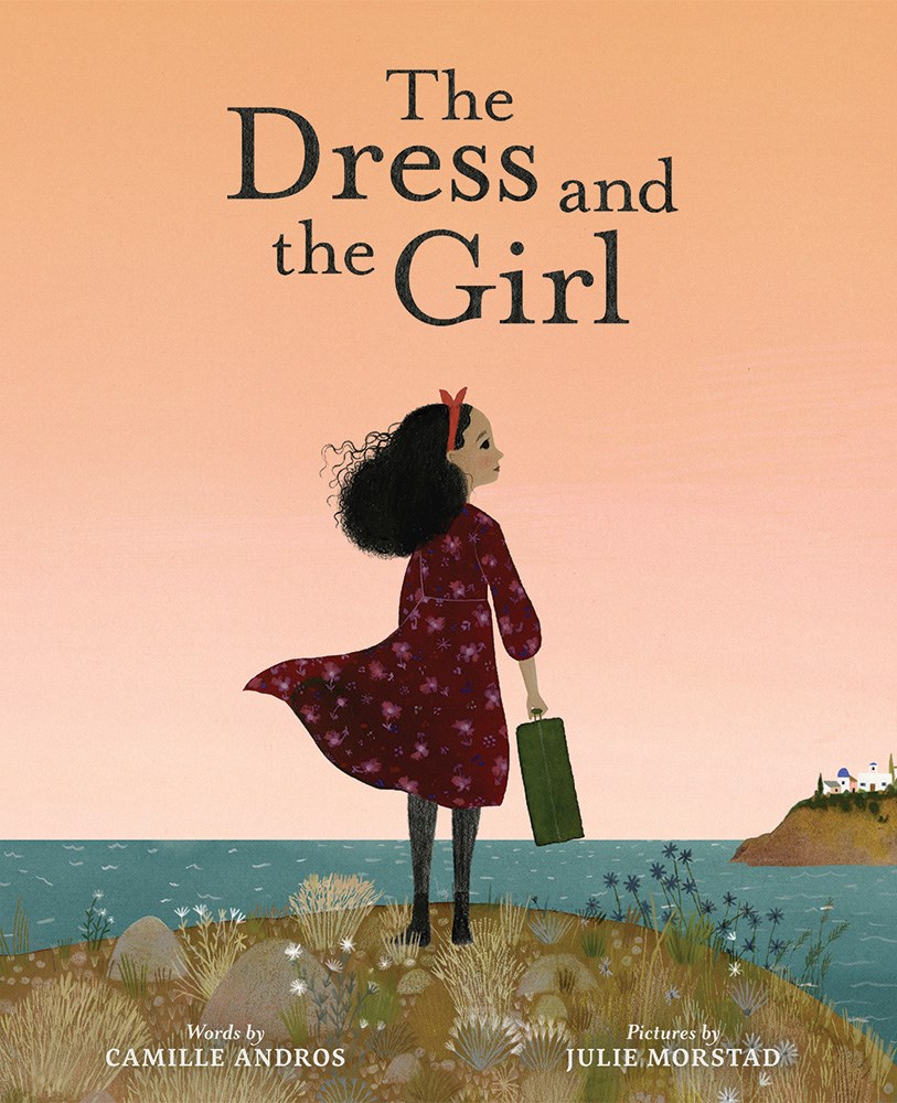 Let's Talk Picture Books: THE DRESS AND THE GIRL