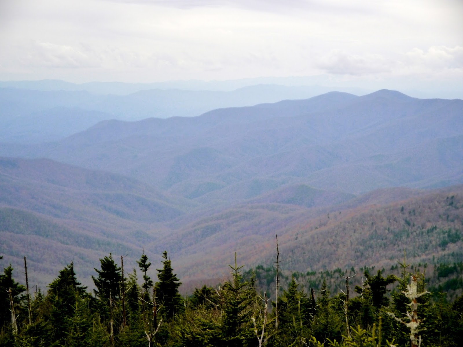 American Travel Journal: Forney Ridge Trail - Great Smoky Mountains ...