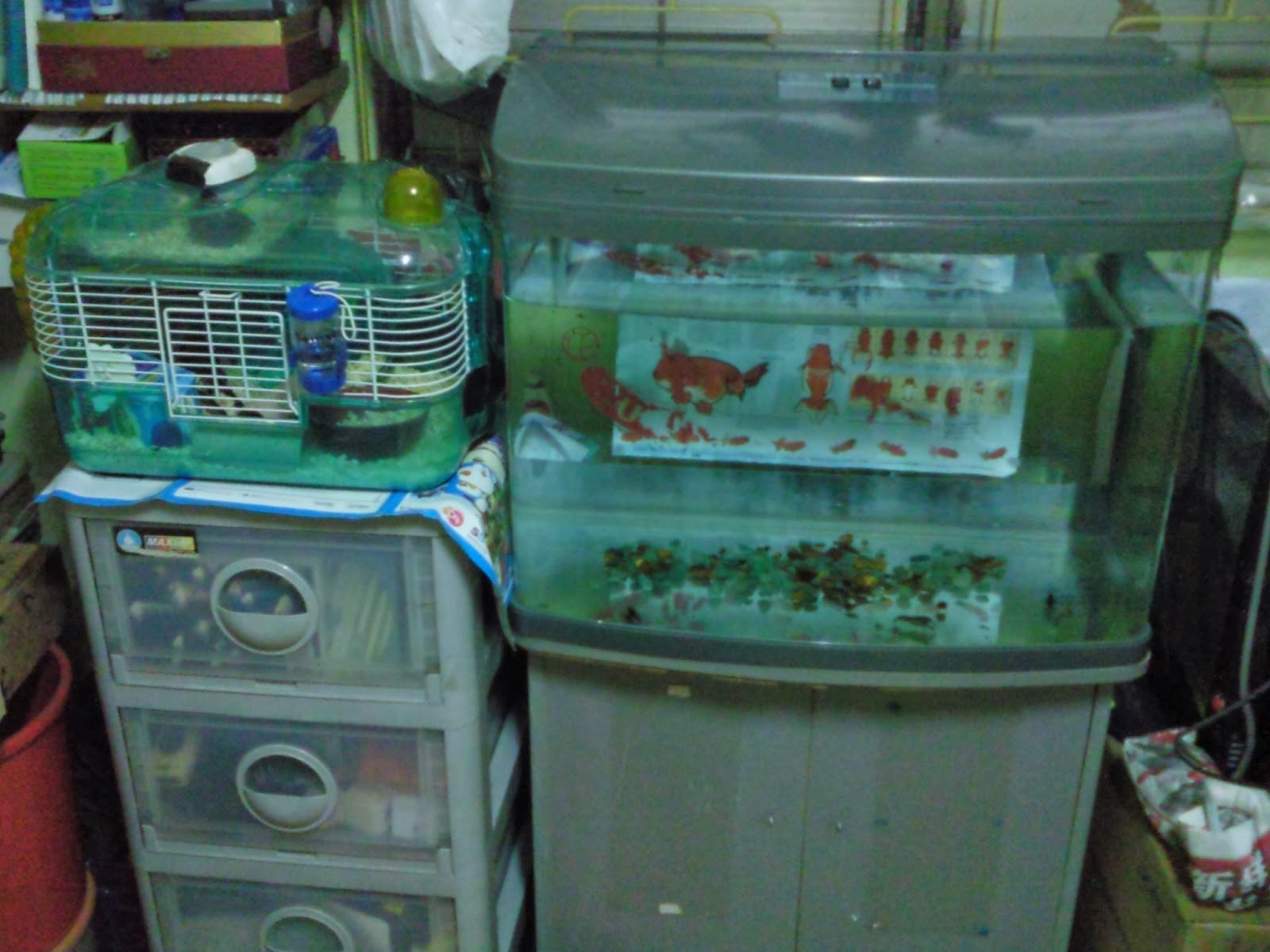 Tropical Fisher Man Fish Tanks And Aquarium CRS: Aquarium Home Multiple ...