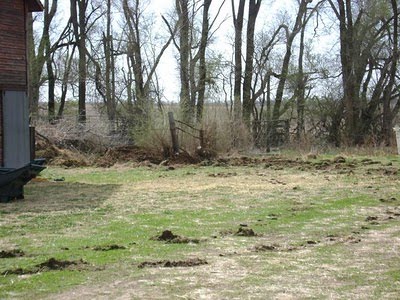 Rose Valley Ranch: A Few Things