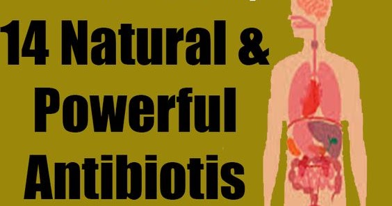 14 Natural & Powerful Antibiotics You Can Use To Treat Infections ...