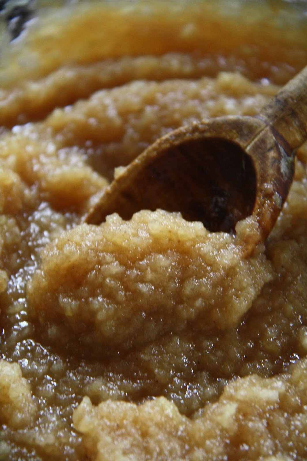salted sugared spiced™: Homemade Applesauce