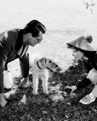 PERROS Y GATOS FAMOSOS: ARCHIE LEACH / SKIPPY Y OTROS DE CARY GRANT.