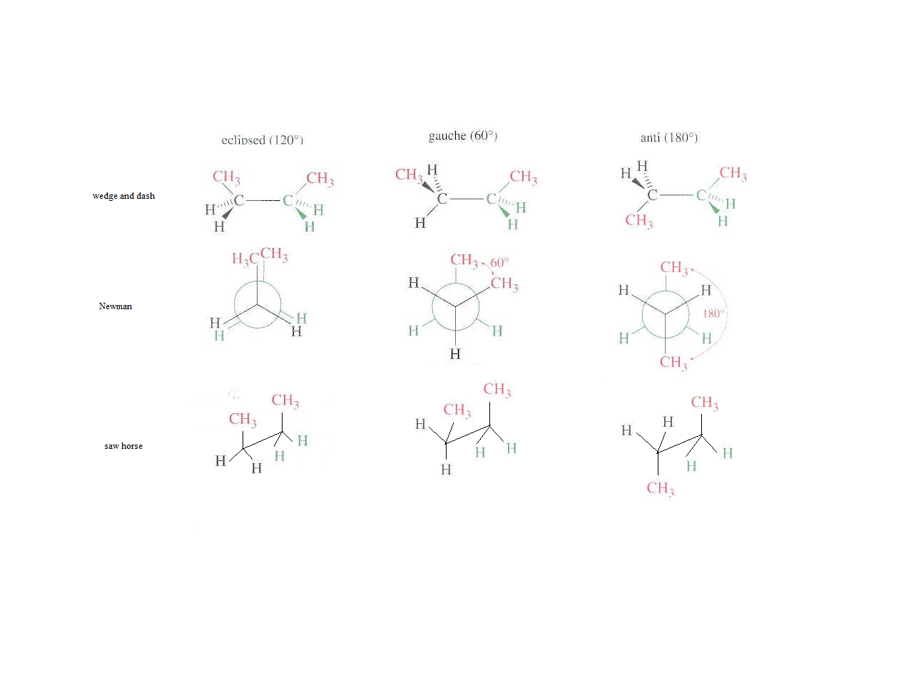 Chemistry Laboratory: Exploring Conformational Analysis using Molecular ...