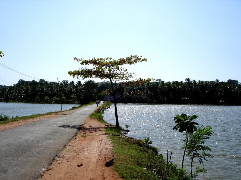 Incredible Vellayani