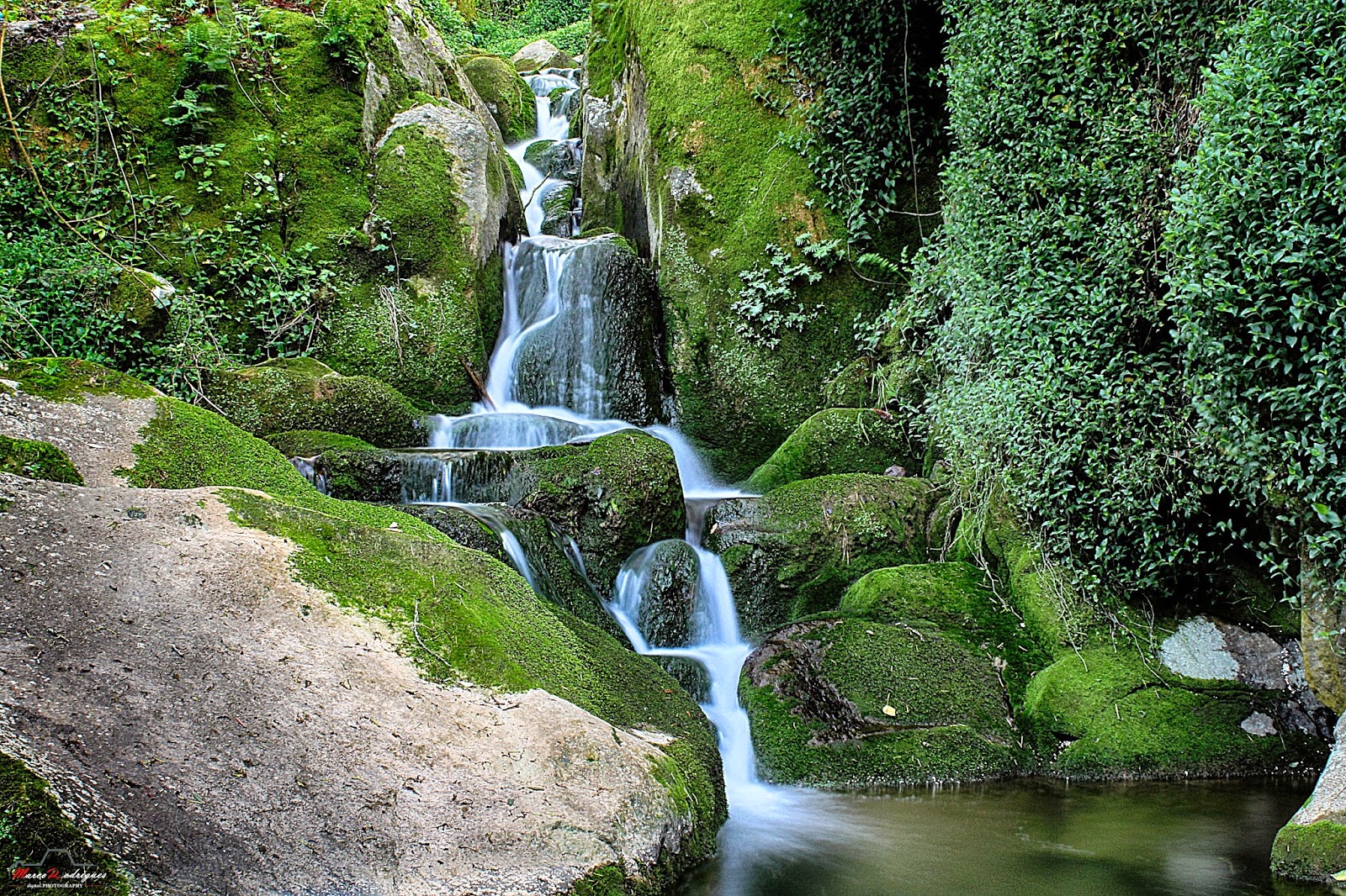 Conquistar Cascatas por Marco Rodrigues: Conquistar Cascatas I