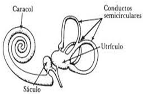 eduacion especial!!! yenny caroll angie sandra : junio 2014