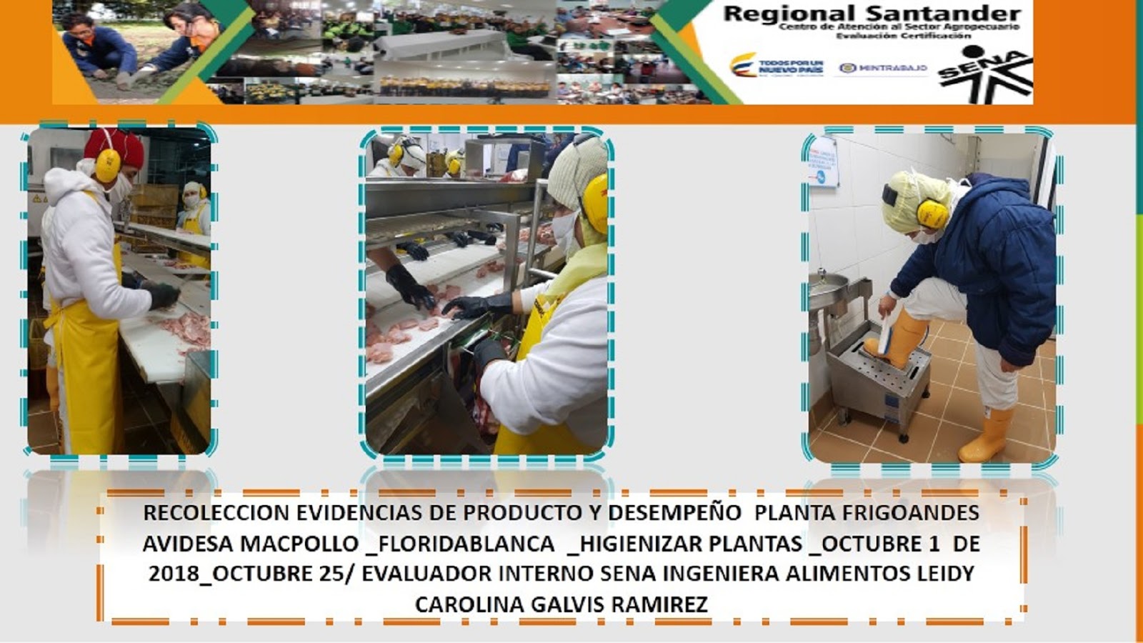 C18: Proceso AVIDESA MACPOLLO PN 4327 Avicola 2018