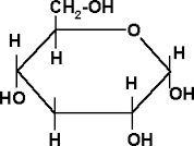 Organización molecular de la célula