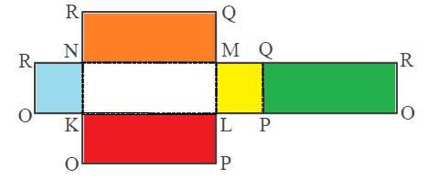 Bentuk Jaring-jaring Balok