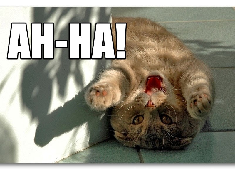AH-AH! | Funny Cat Pictures